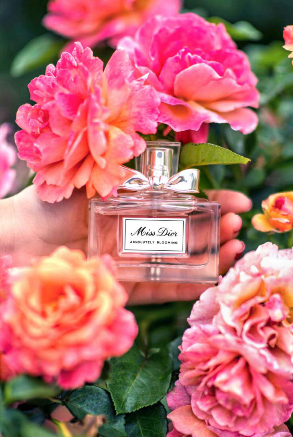 Abbigliamento e moda scarpe | Offerte fashion su Drezzy